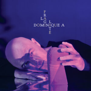 Dominique A | "Quelques lumières" Double Album disponible